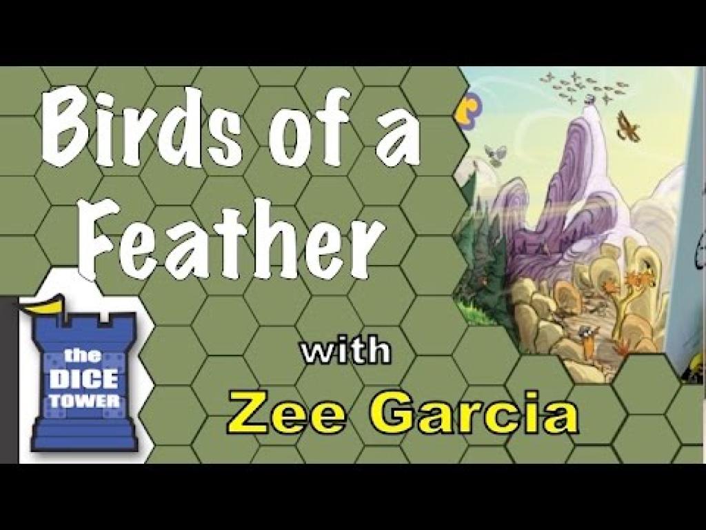 Birds of a Feather Review - with Zee Garcia|The Dice Tower